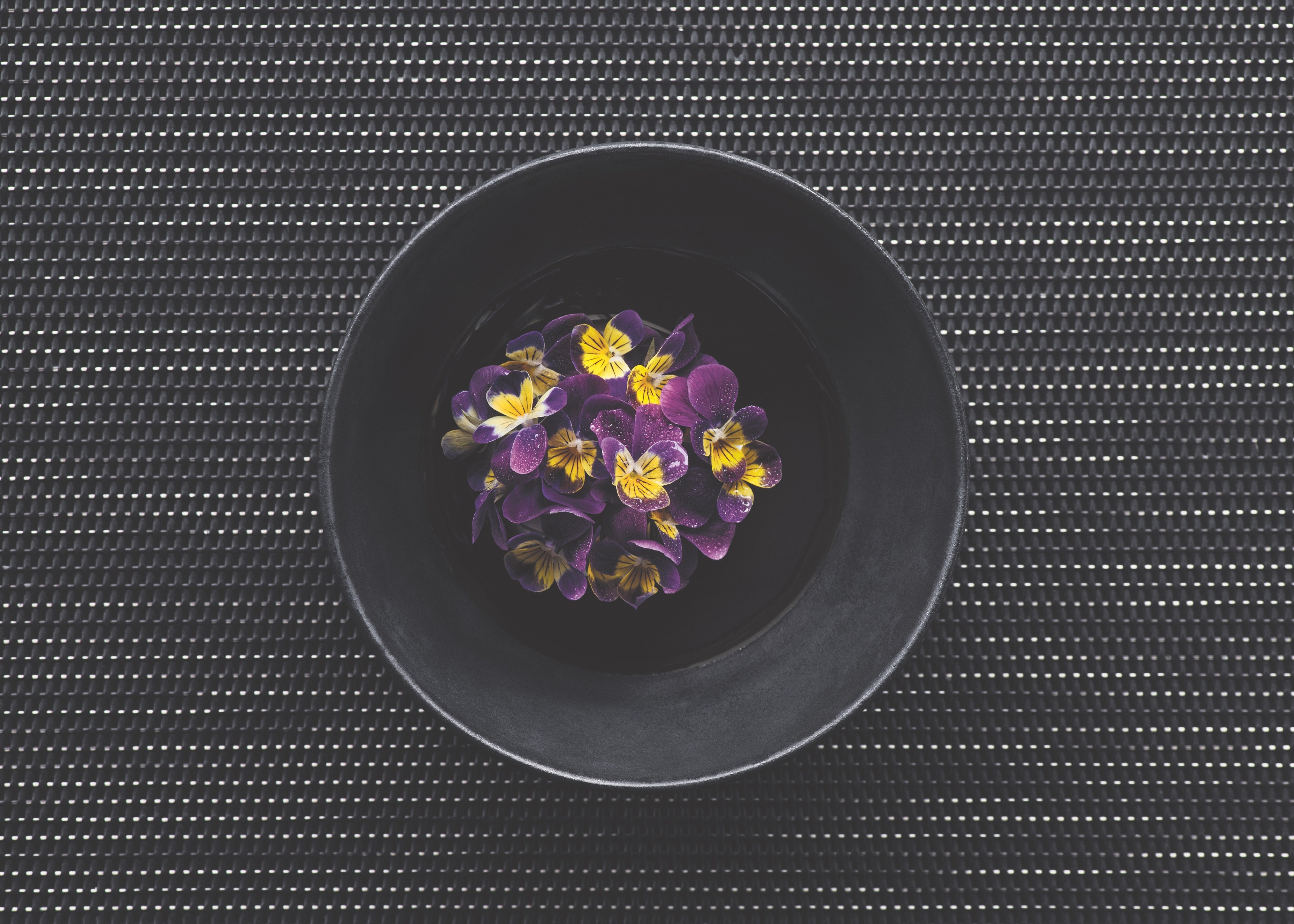 Inside Maaemo: Oslo's Culinary Design Haven